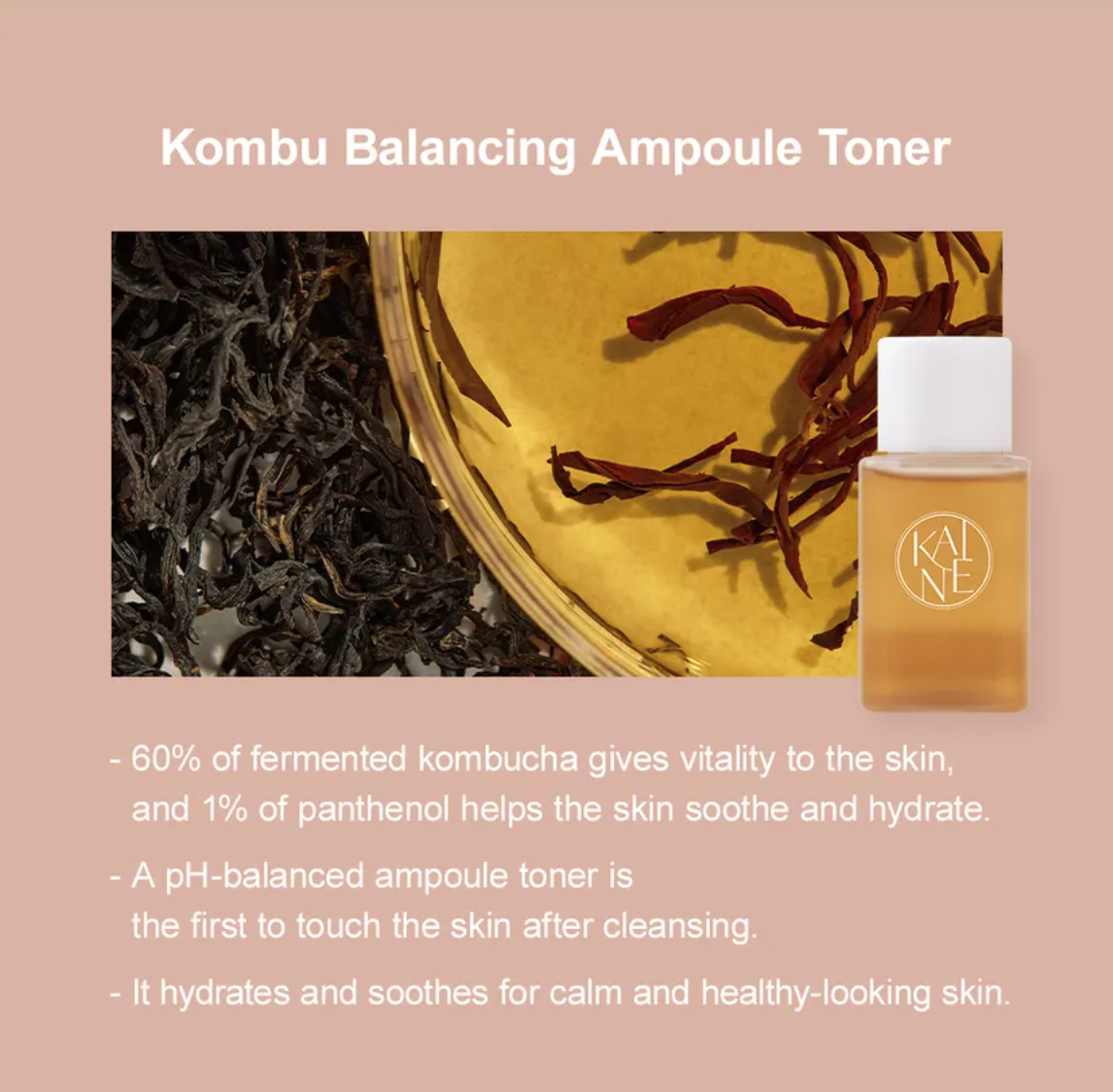 KAINE - Travel Kit – skinbeat.